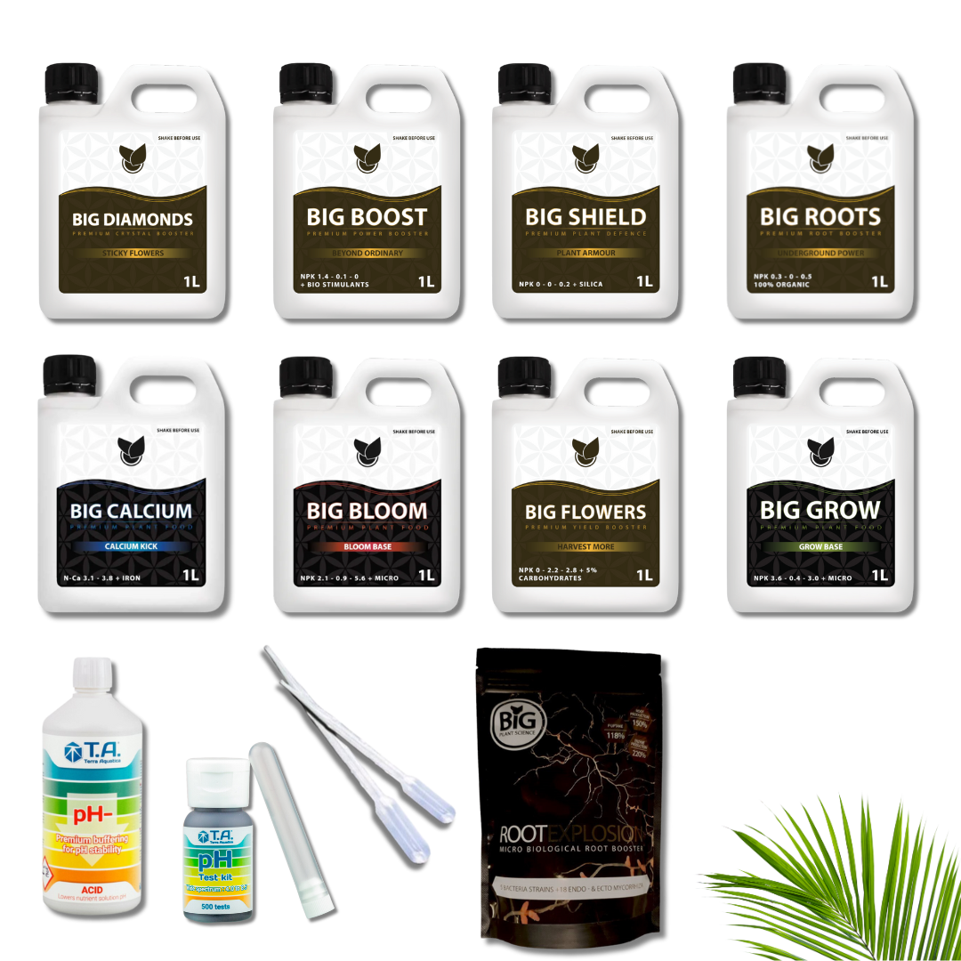 Big Plant Science - Komplet Kit - Superseeds.dk